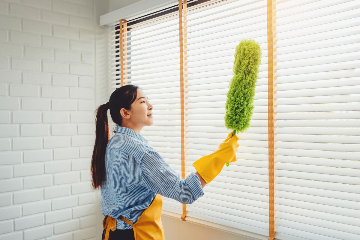 How Regular Window Cleaning Can Extend the Life of Your Windows